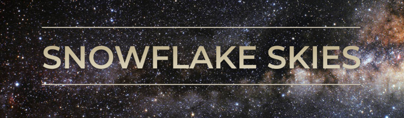 How to Measure Backfocus Like a Pro – Snowflake Skies